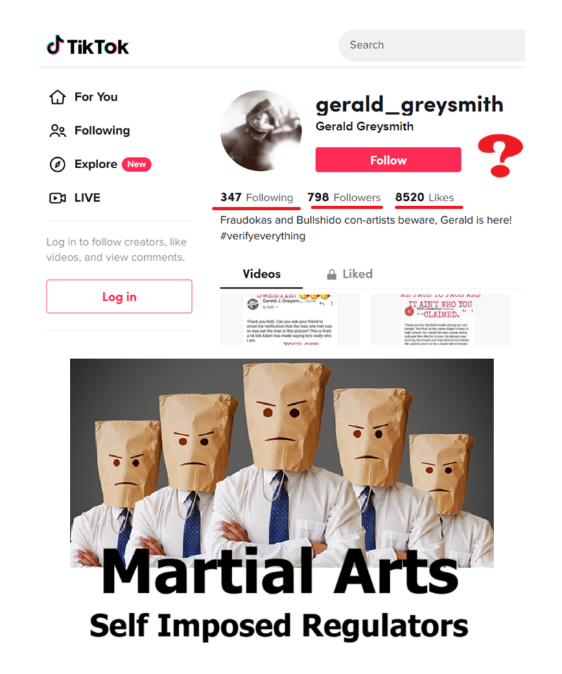 Martial Artists STORIED MASKED MAN - bang-zing.wtf